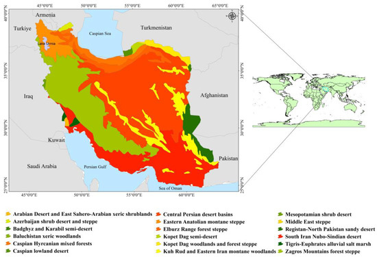 Sustainability Free Full Text Spatio Temporal Analysis Of Carbon