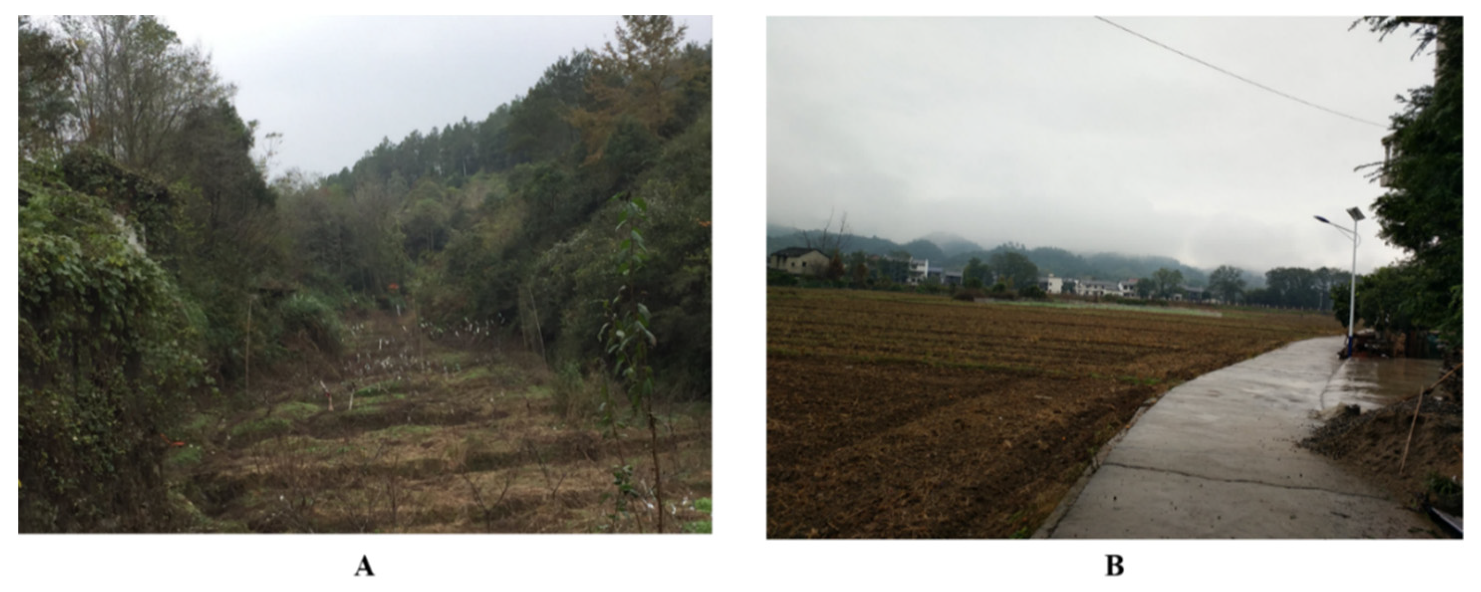 Understanding Idle Land Using Local Environmental Characteristics: A ...