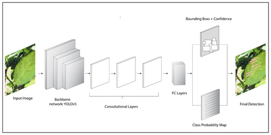 Small Pests Detection in Field Crops Using Deep Learning Object Detection
