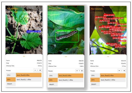 Small Pests Detection in Field Crops Using Deep Learning Object Detection
