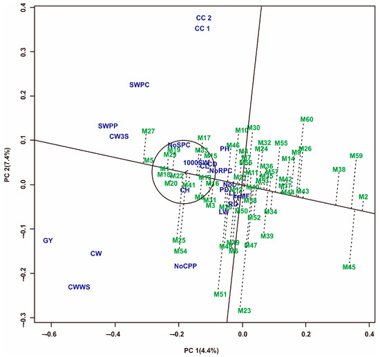 Sustainability | Free Full-Text | Heritability and Selection Using GGE ...