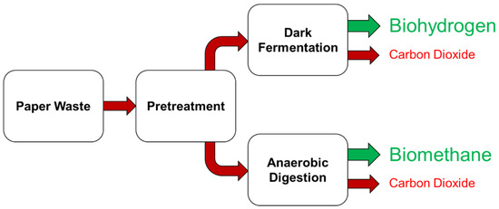 On the Conversion of Paper Waste and Rejects into High-Value Materials ...