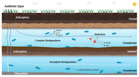 Review on Biogeochemical Characteristics of Typical Antibiotics in ...