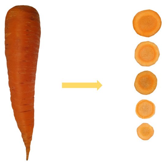 Rapid Detection of Changes in Image Textures of Carrots Caused by ...