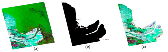 Automatic Coastline Extraction Based on the Improved Instantaneous ...