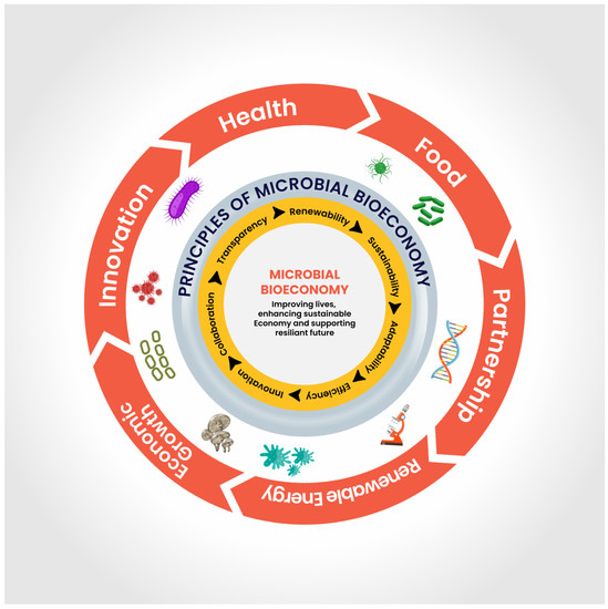 Toward a Resilient Future: The Promise of Microbial Bioeconomy