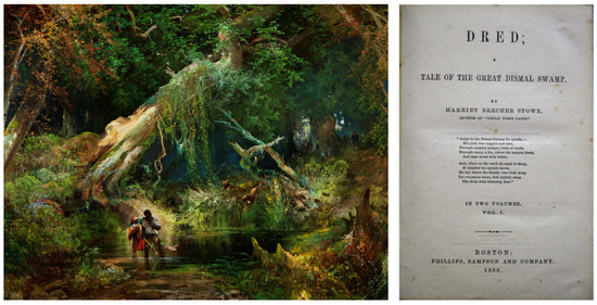 Making the Case for the Great Dismal Swamp National Heritage Area: A ...