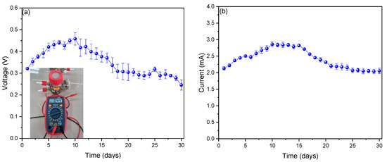 Sustainability | Free Full-Text | Impact of Dragon Fruit Waste in ...