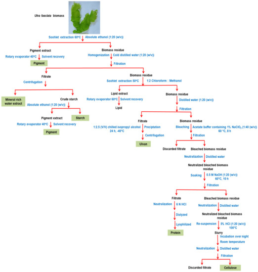 A Fully Integrated Biorefinery Process for the Valorization of Ulva ...
