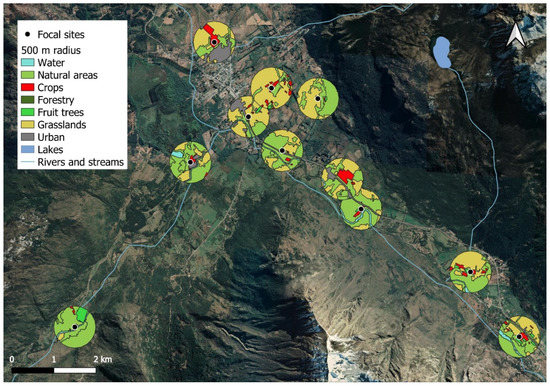 Functional Traits Mediate the Natural Enemy Response to Land Use at the ...