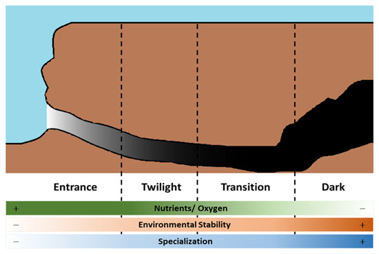 Prokaryotic Communities from Pristine Cave Environments ...