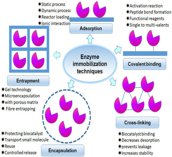 Bio-Enzyme Hybrid with Nanomaterials: A Potential Cargo as Sustainable Biocatalyst