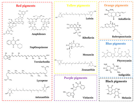 Microbial Melanin: Renewable Feedstock and Emerging Applications in ...