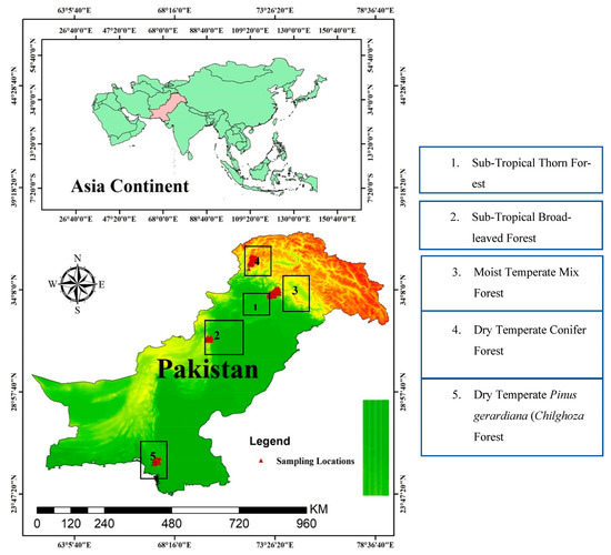 Sustainability | Free Full-Text | Relative Humidity, Soil Phosphorus, and Stand Structure ...