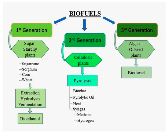 Second-Generation Bio-Fuels: Strategies for Employing Degraded Land for ...