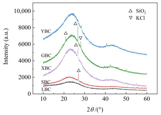 Capacity and Mechanisms of Pb(II) and Cd(II) Sorption on Five Plant ...