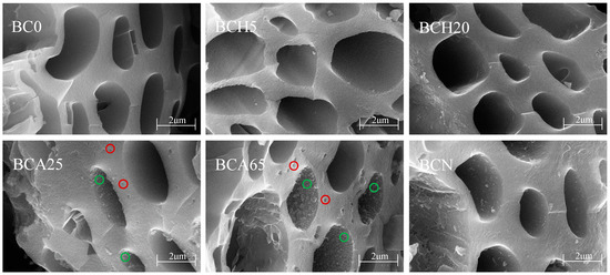 Stability of Functionally Modified Biochar: The Role of Surface Charges ...