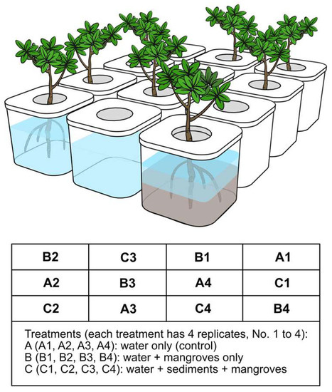 Evaluating the Potential of Mangrove Phytoremediation for Mitigating ...