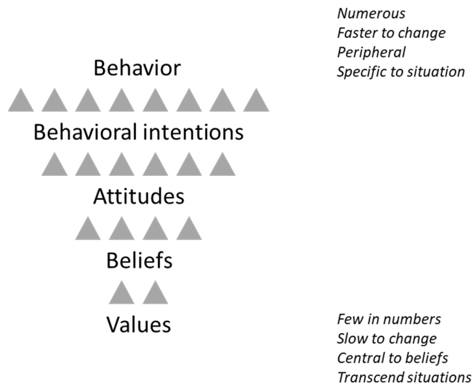 Exploring the Values of a Sustainable Project Manager