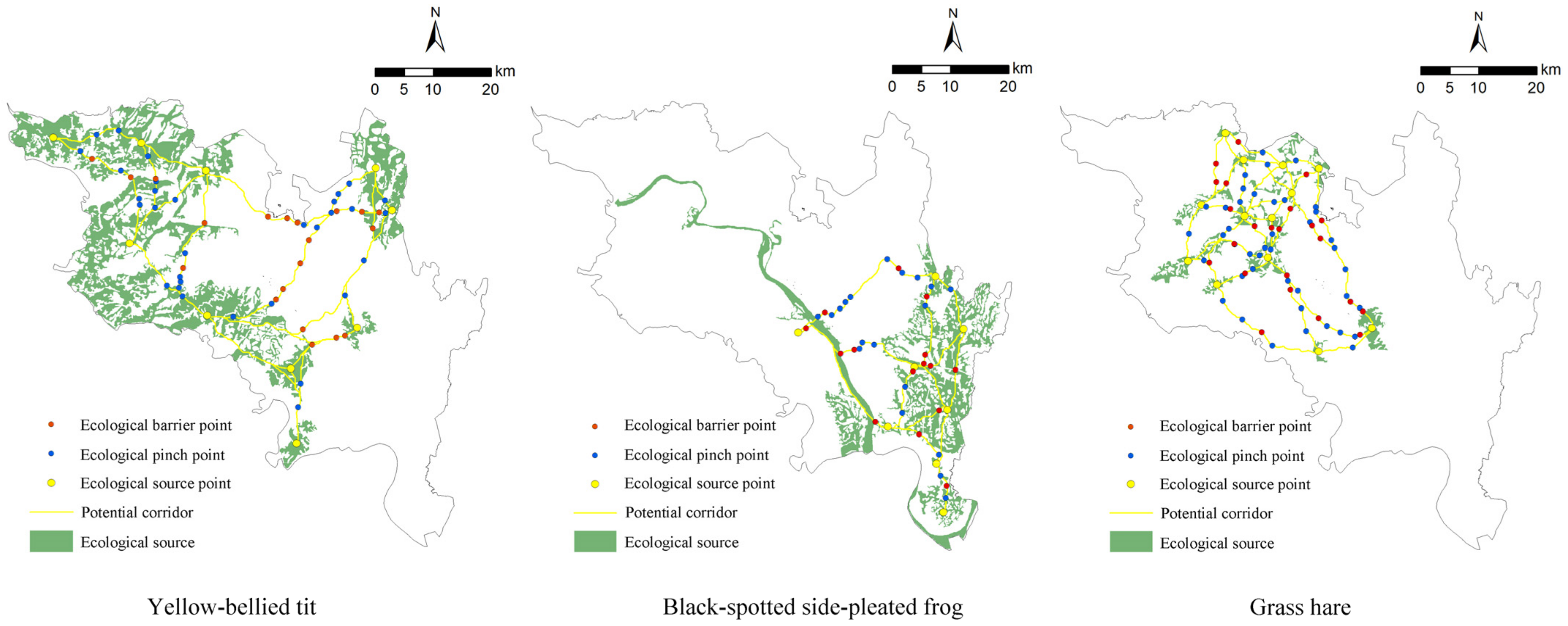 Designing an Ecological Network in Yichang Central City in China Based ...