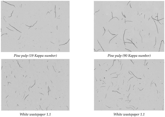 Morphological Differences between Virgin and Secondary Fibers