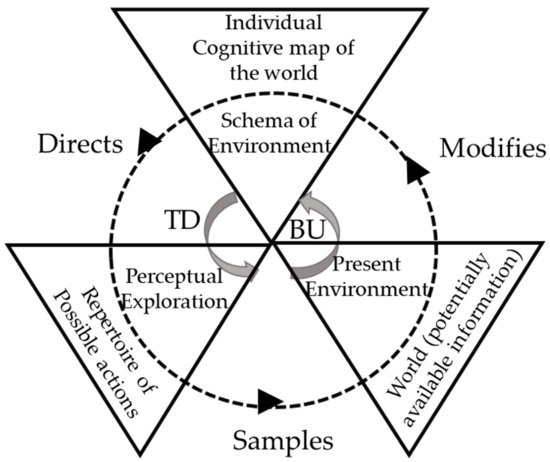 A Study of Vulnerable Road Users’ Behaviors Using Schema Theory and the ...