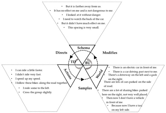 A Study of Vulnerable Road Users’ Behaviors Using Schema Theory and the ...