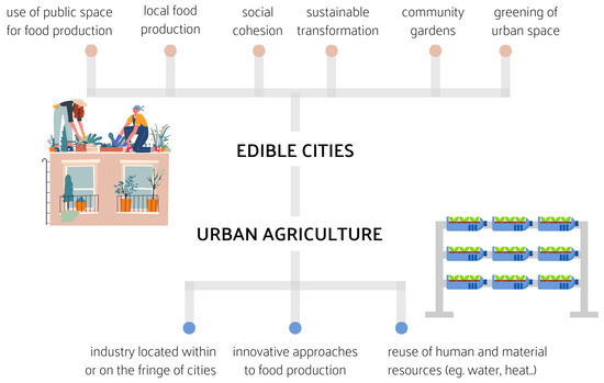 Opportunities and Constraints for Creating Edible Cities and Accessing ...