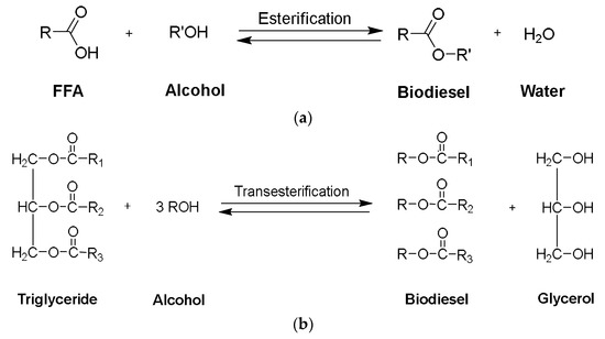 Toward Efficient Continuous Production of Biodiesel from Brown Grease