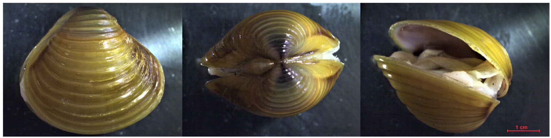 Sustainability | Free Full-Text | The Spatio-Temporal Distribution of ...