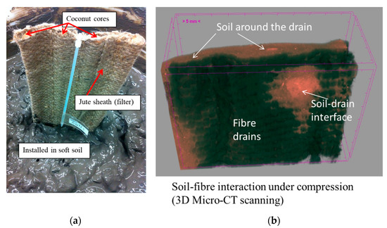 Natural Fibre for Geotechnical Applications: Concepts, Achievements and ...