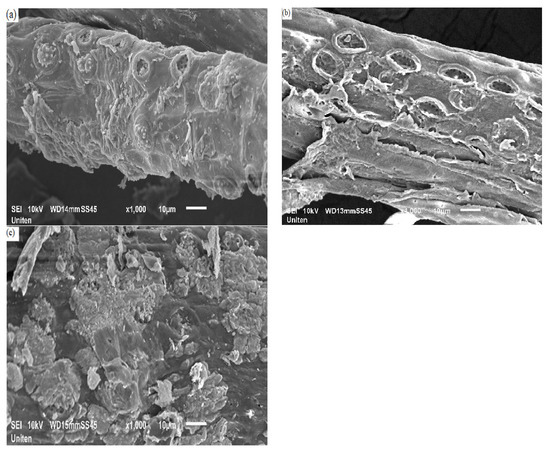 Effect of Chemical Pre-Treatment on the Catalytic Performance of Oil ...