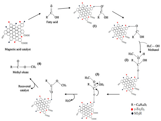 Effect of Chemical Pre-Treatment on the Catalytic Performance of Oil ...