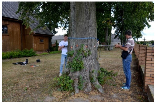 Sustainability | Free Full-Text | Acoustic Tomography as a Supporting ...