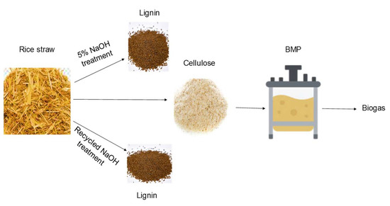 Sodium Hydroxide Hydrothermal Extraction of Lignin from Rice Straw Residue and Fermentation to ...