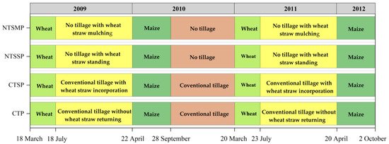 Sustainability | Free Full-Text | Sustainable Analysis of Maize ...