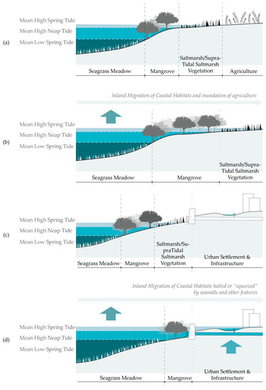 Climate-Related Sea Level Rise and Coastal Wastewater Treatment ...