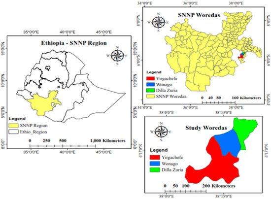 Smallholder Farmers’ Climate Change Adaptation Strategies in the ...