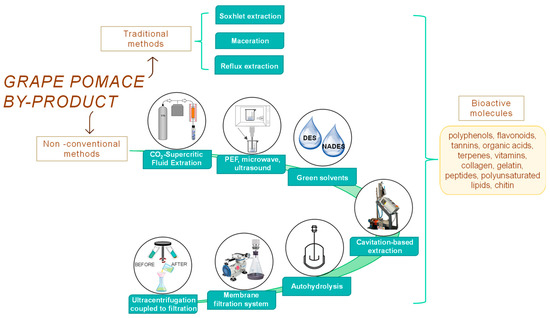 Promising Application of Grape Pomace and Its Agri-Food Valorization: Source of Bioactive ...