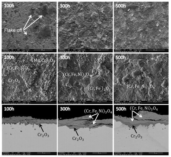 An Accelerated-Based Evaluation Method for Corrosion Lifetime of ...