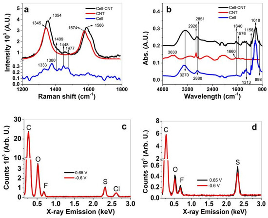 Sustainability of Multiwall Carbon Nanotube Fibers and Their Cellulose ...