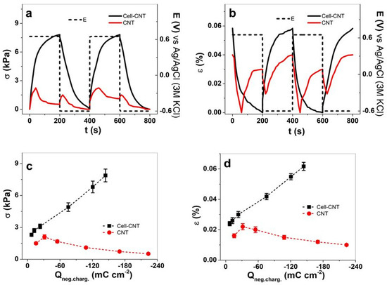 Sustainability of Multiwall Carbon Nanotube Fibers and Their Cellulose ...