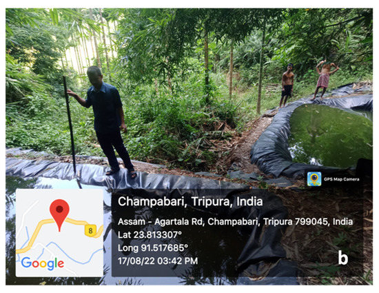 Sustainable Water Harvesting for Improving Food Security and ...