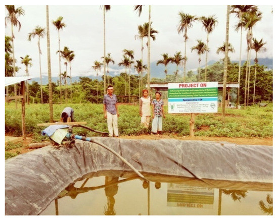 Sustainable Water Harvesting for Improving Food Security and ...