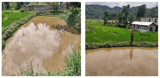 Sustainable Water Harvesting for Improving Food Security and ...