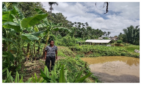 Sustainable Water Harvesting for Improving Food Security and ...