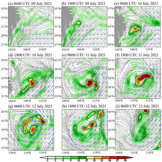 Mechanisms Governing the Formation and Long-Term Sustainment of a ...