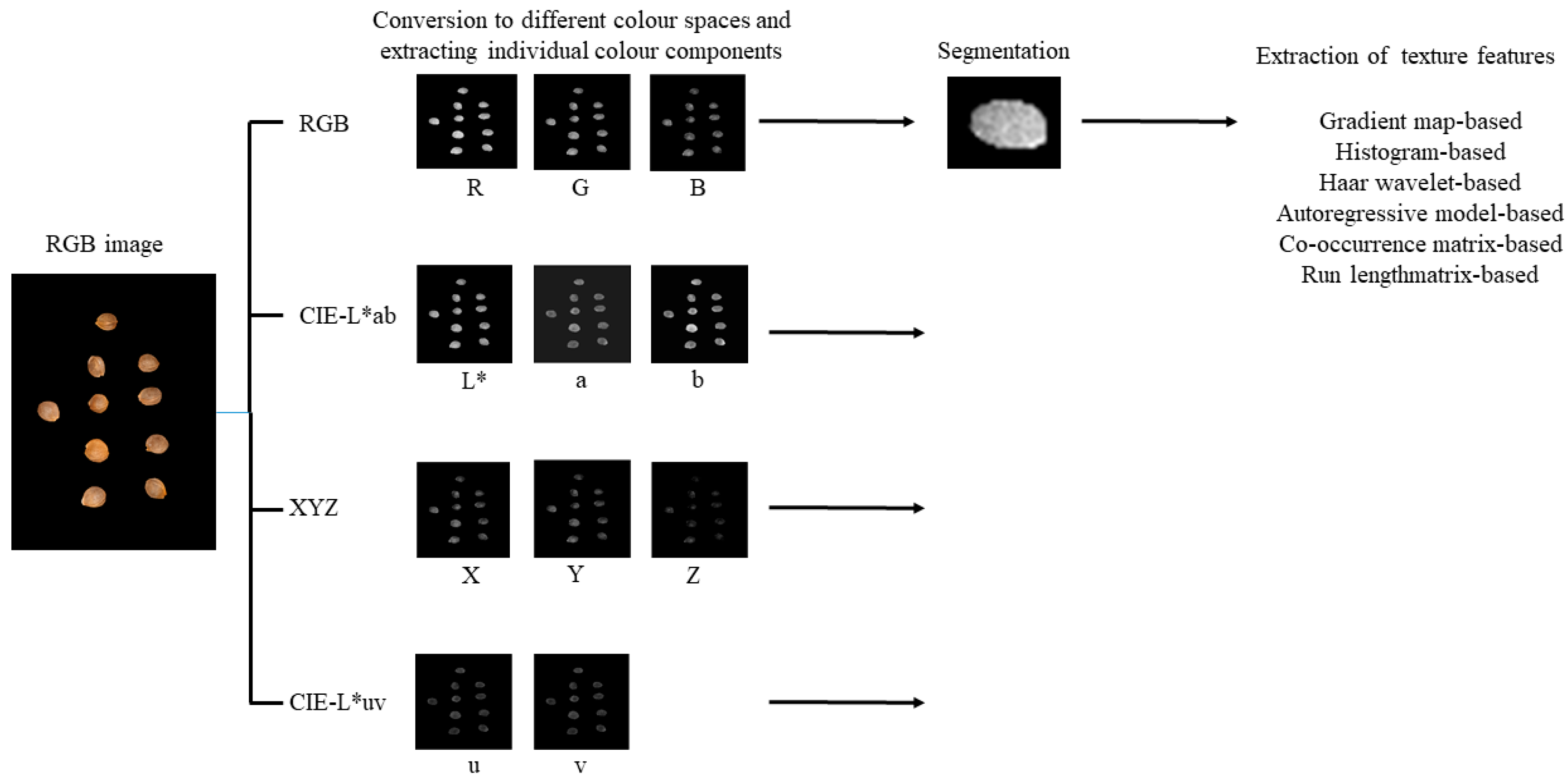 Apricot Stone Classification Using Image Analysis and Machine Learning