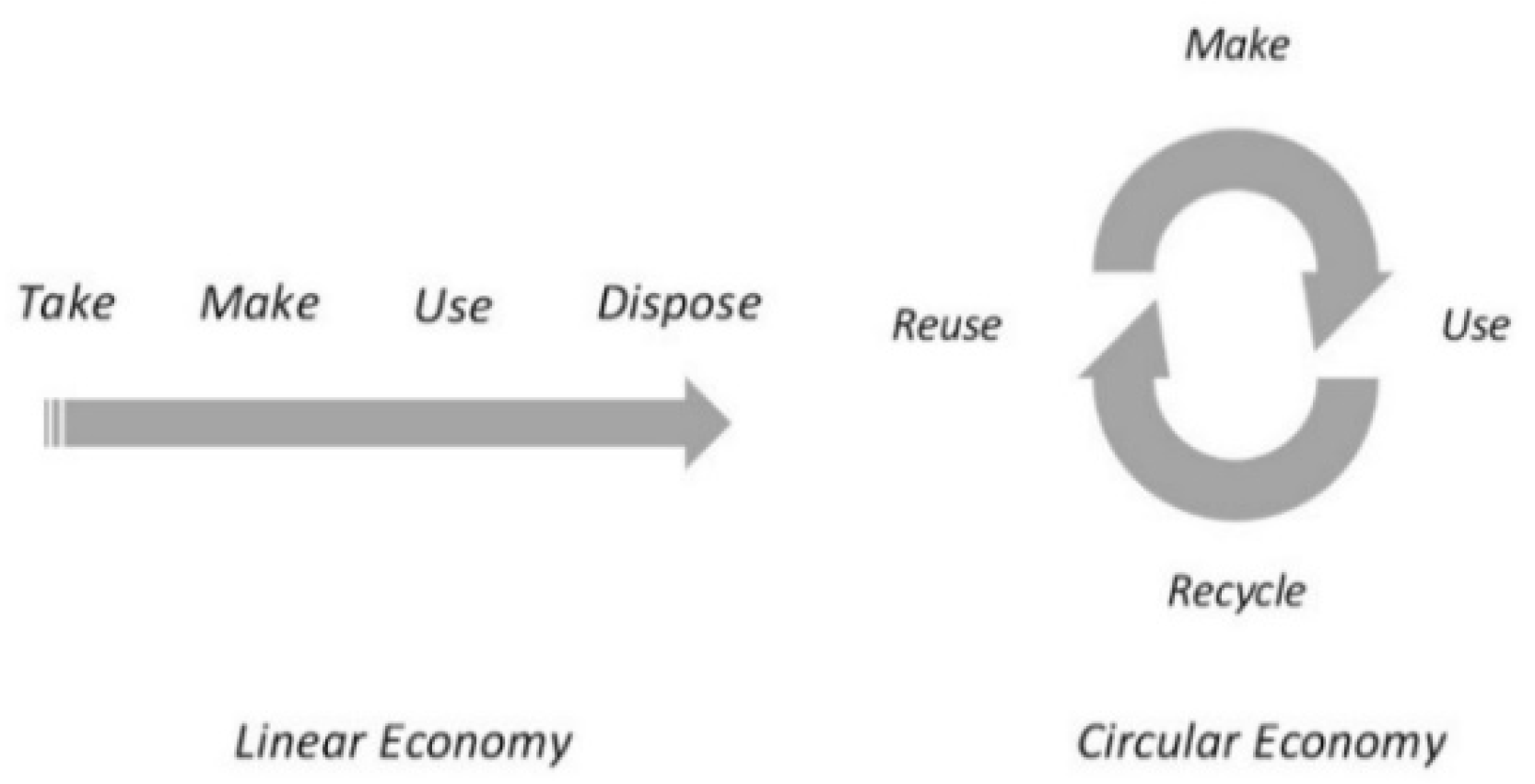 A Systematic Literature Review on the Transition to Circular Business ...