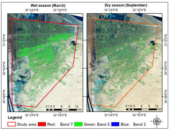 Sustainability | Free Full-Text | Predicting Dynamics of Soil Salinity ...